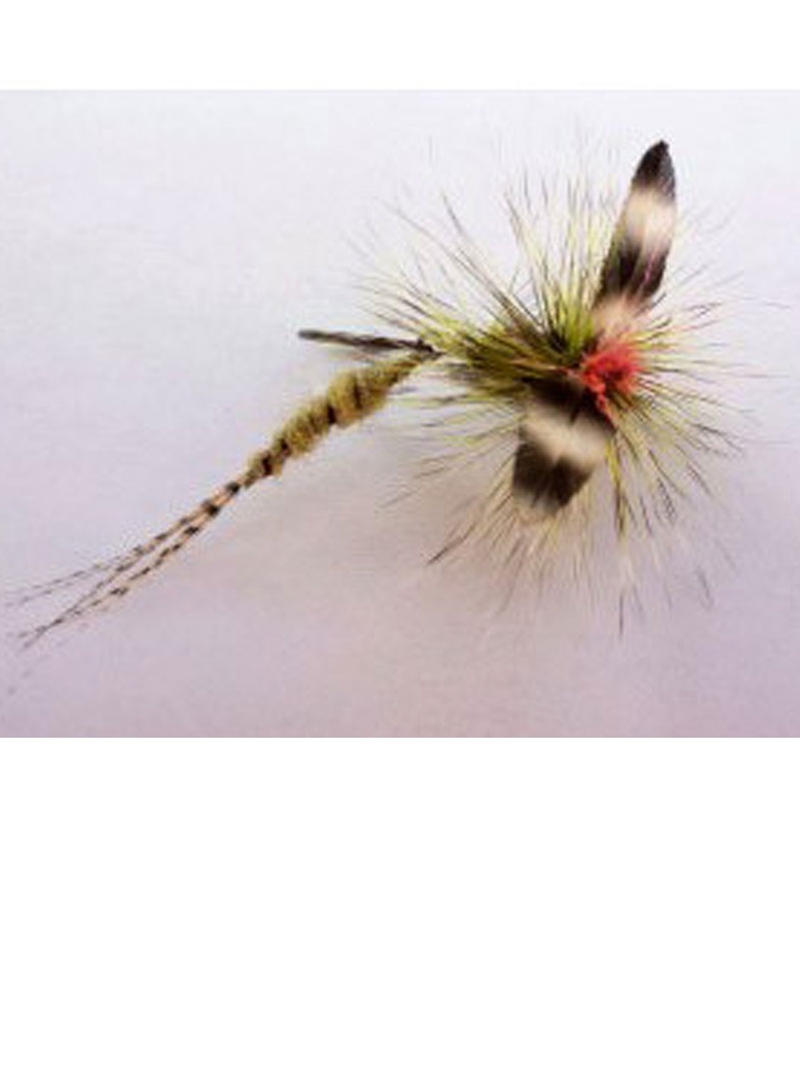 Articulated Wiggle-Tail Shanks