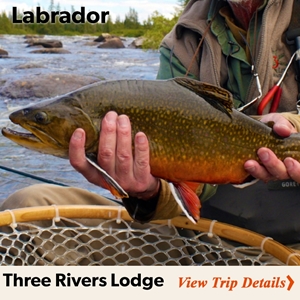 Fly Fishing Excursions | Book Fishing Trips | Mad River Outfitters