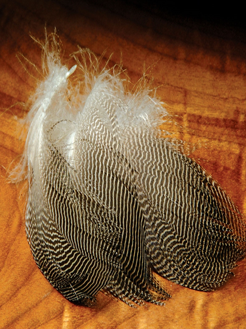 Gadwall Feathers for fly tying