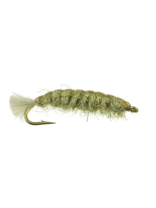 Crane Fly Larvae Fly Pattern Crane Flies Of Kentucky University Of